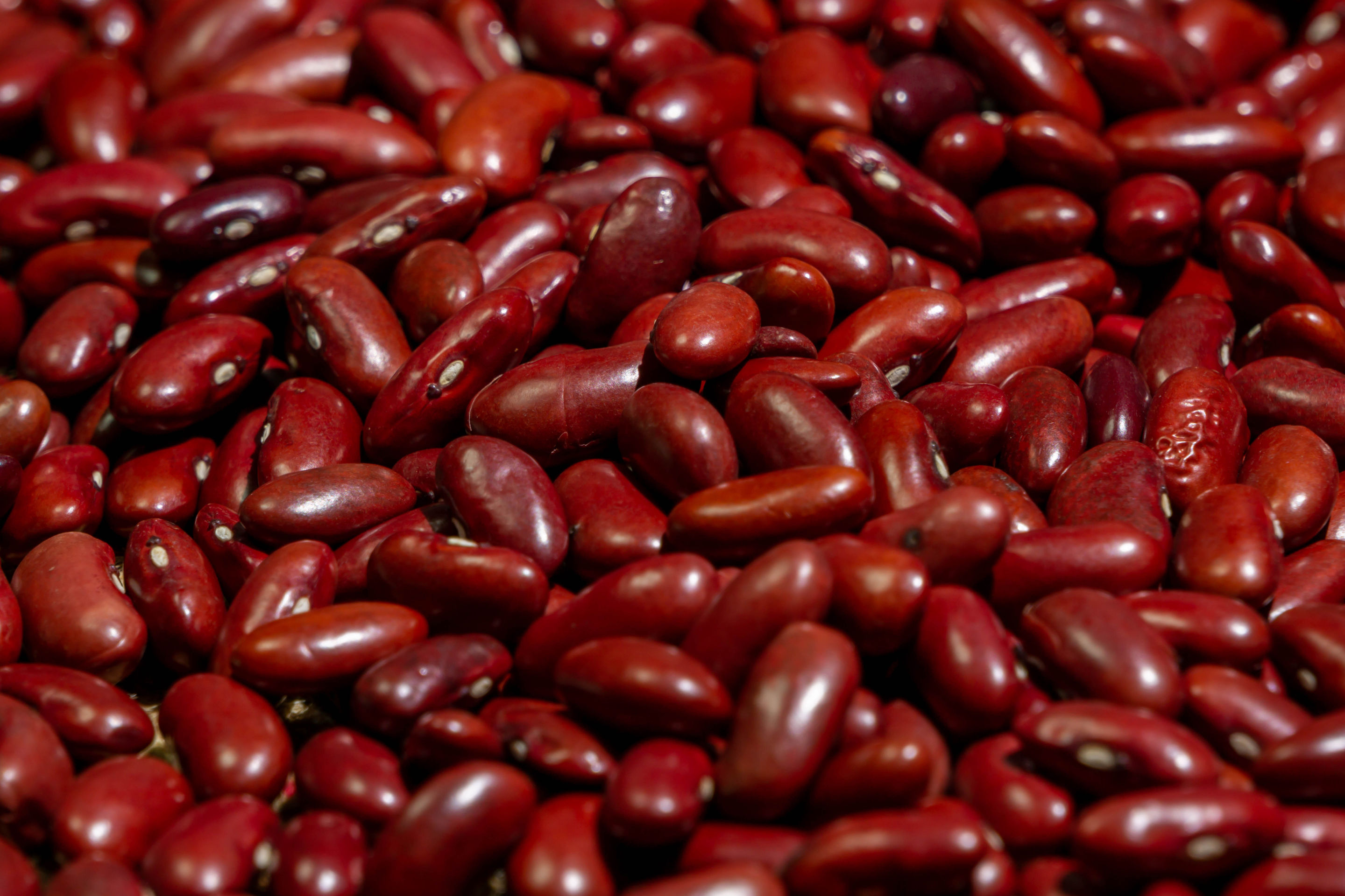 Recette Salade de maïs et haricots rouges | Bonduelle