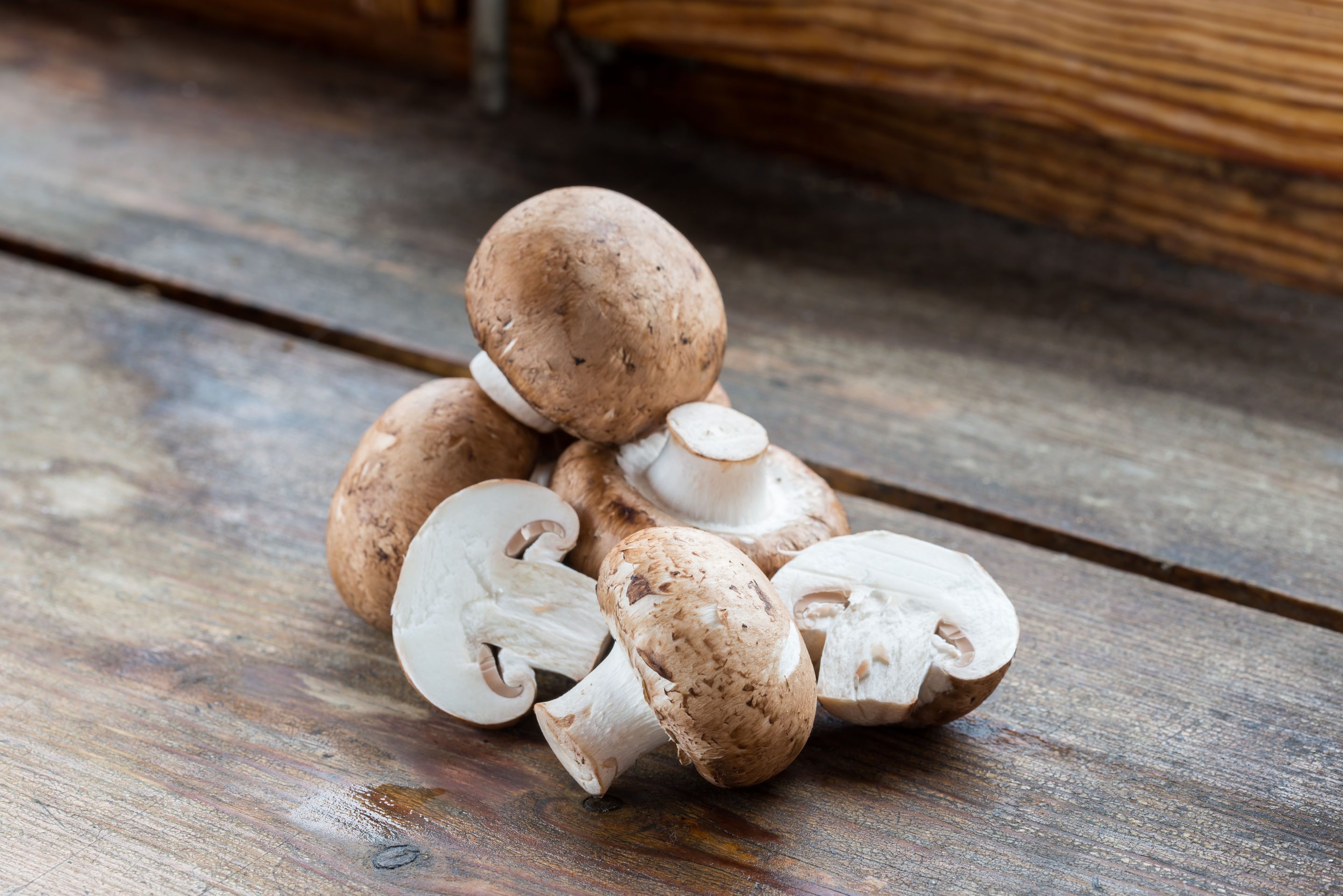 Recette Muffins aux champignons et épinards | Bonduelle